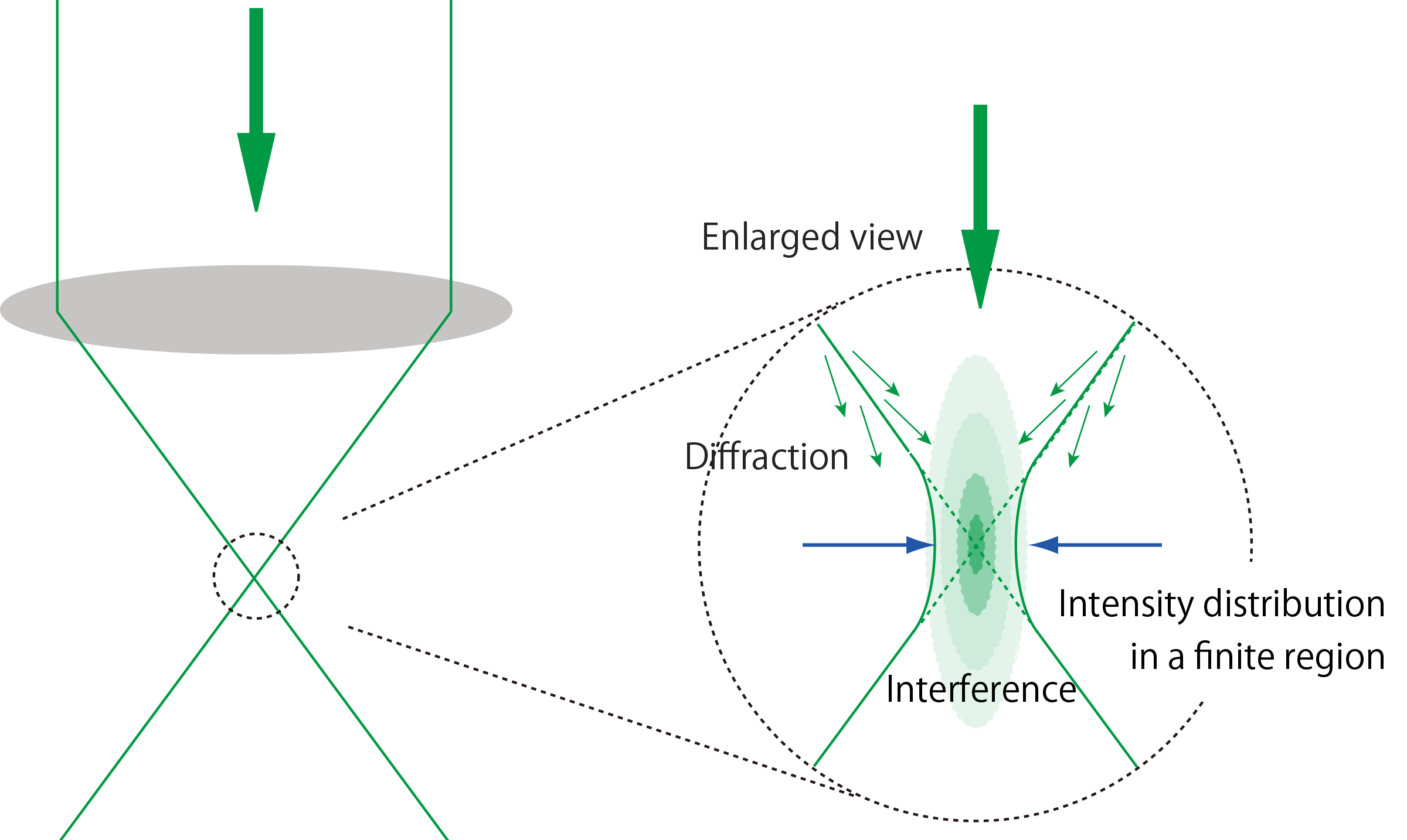 About focus | ScienceEdge Inc.