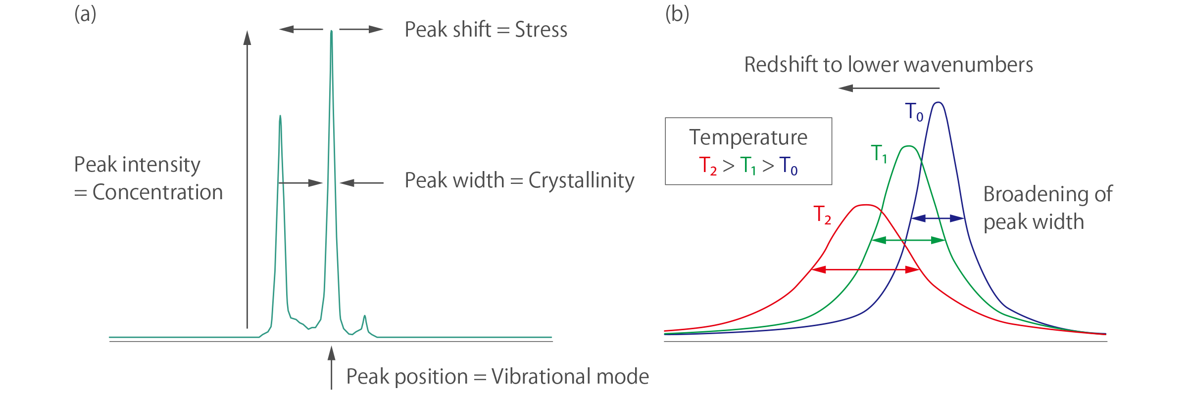 Introduction To Raman Spectroscopy Scienceedge Inc